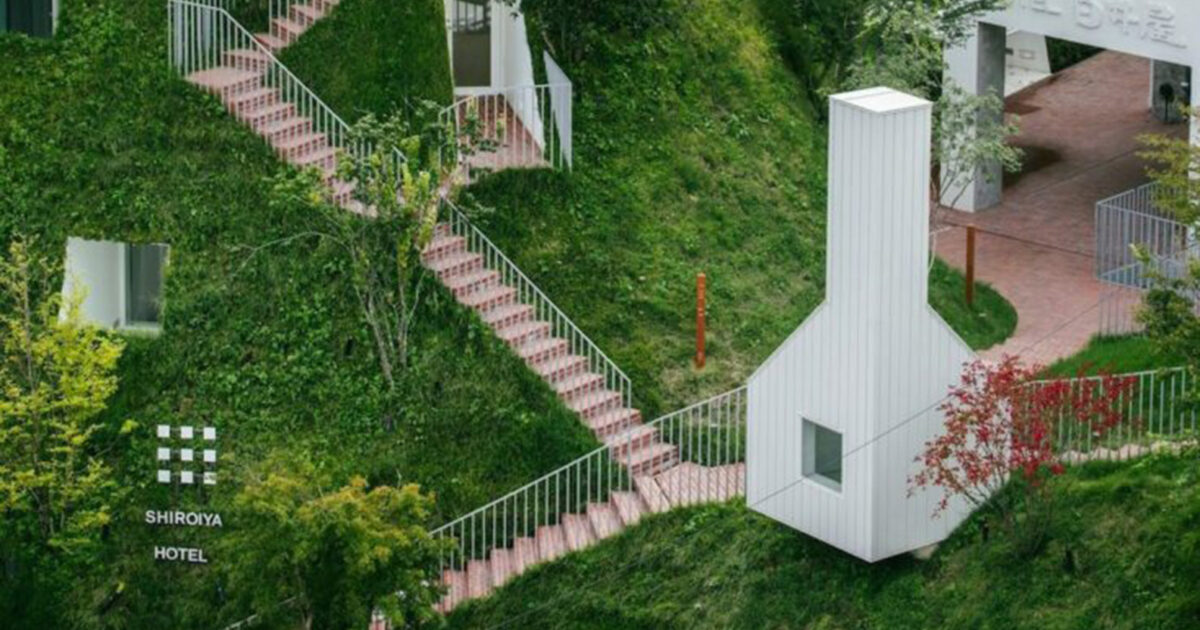 Perspective: Innovation | IIDA