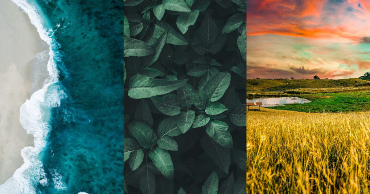 Koroseal: Beyond Biophilia, How Nature Shapes Architecture in… | IIDA